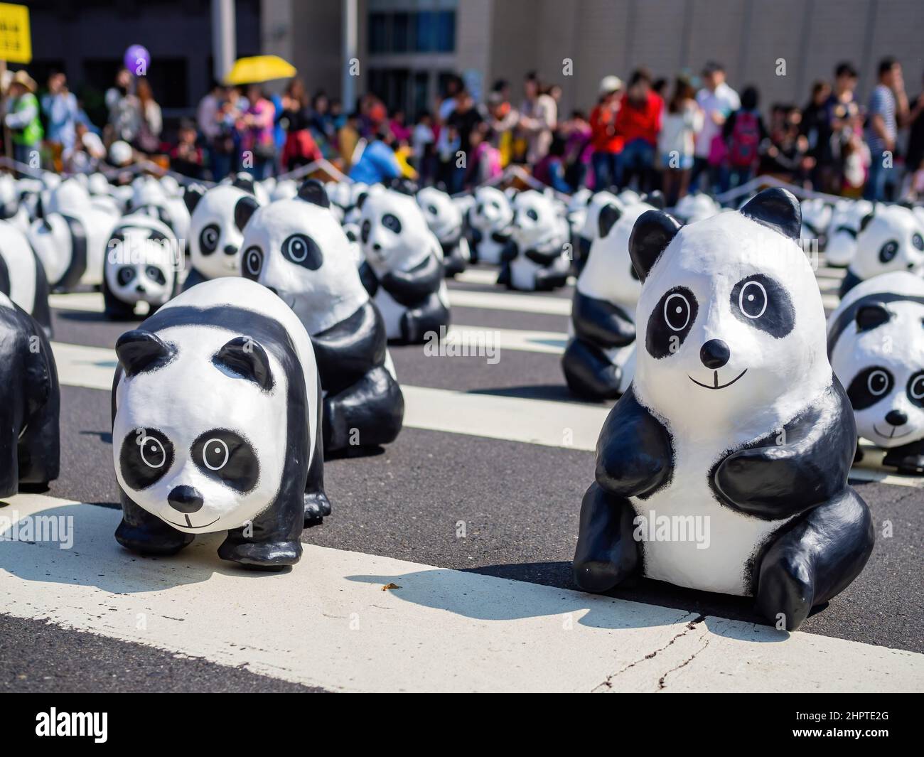 Paper panda exhibition hi-res stock photography and images - Alamy