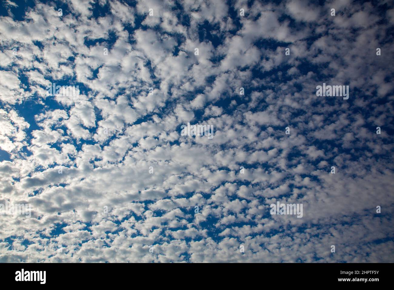 Beautiful dark cumulus clouds hi-res stock photography and images - Alamy