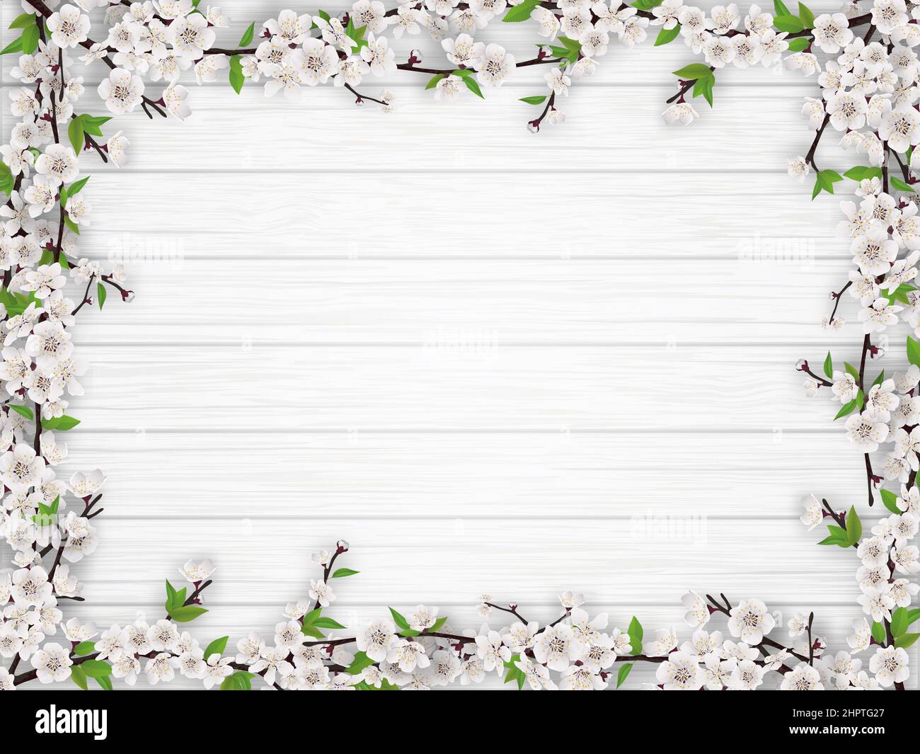 Flower branches cherry wood trees tree buds hi-res stock photography ...