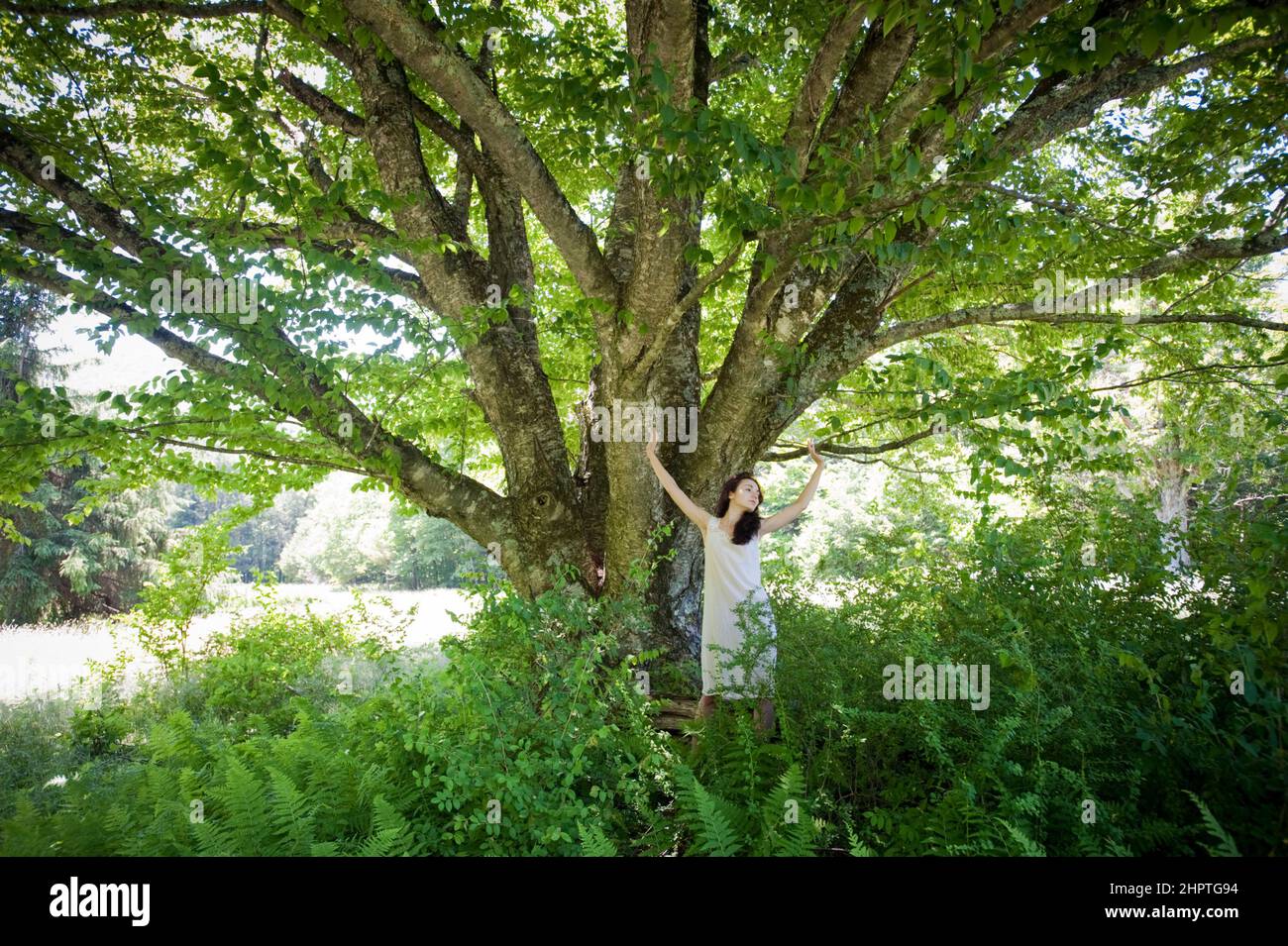 Young woman standing under tree with arms raised Stock Photo - Alamy