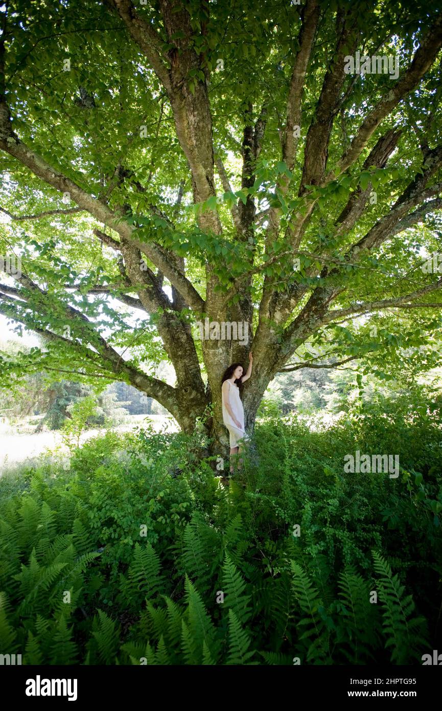 Young woman leaning against tree Stock Photo - Alamy