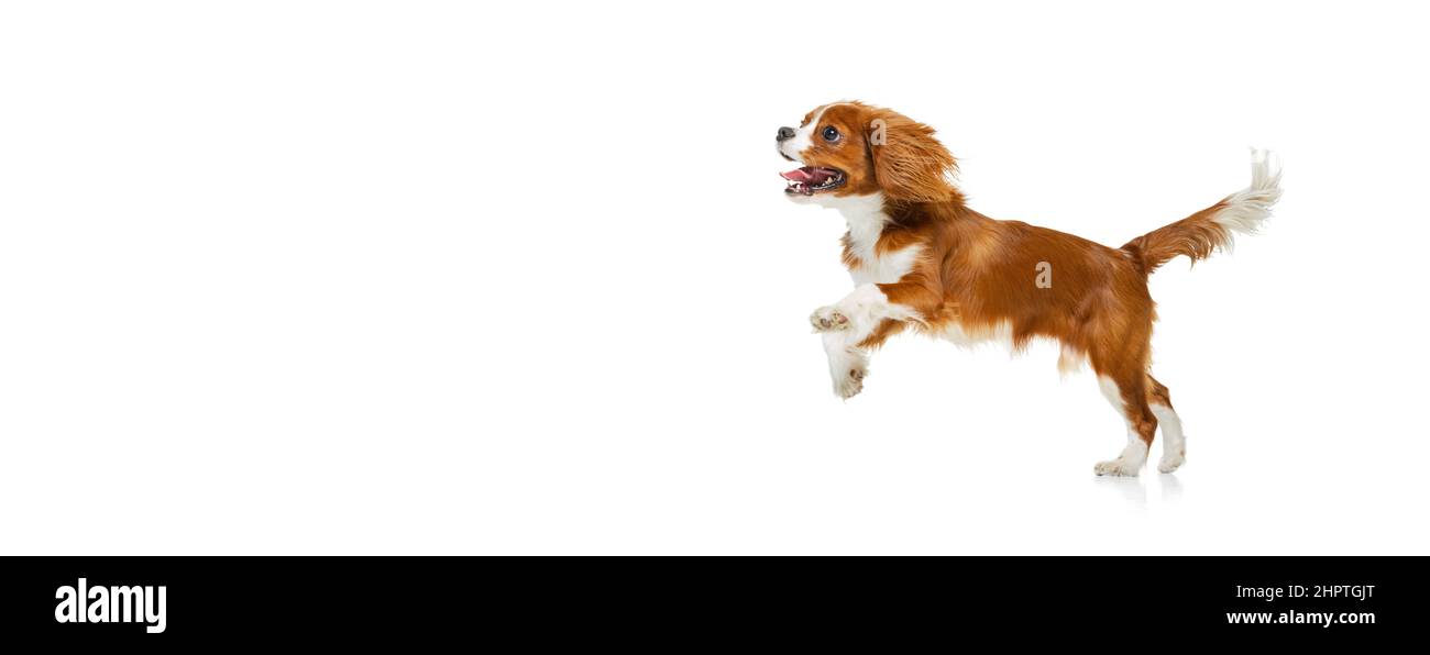 Love bed portrait relax Cut Out Stock Images & Pictures - Alamy