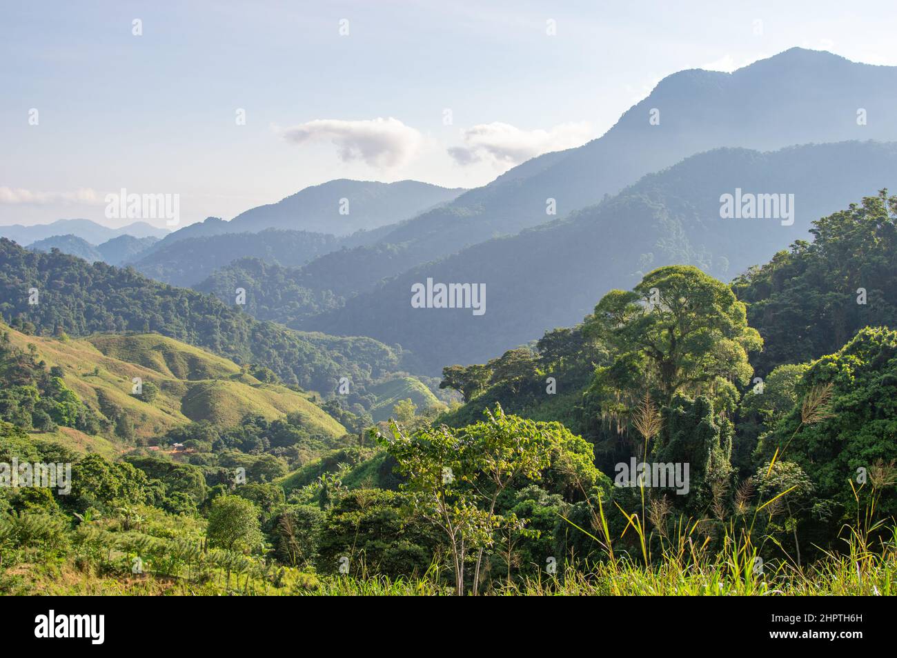 A view of the jungle landscape of the Sierra Nevada de Santa Marta ...