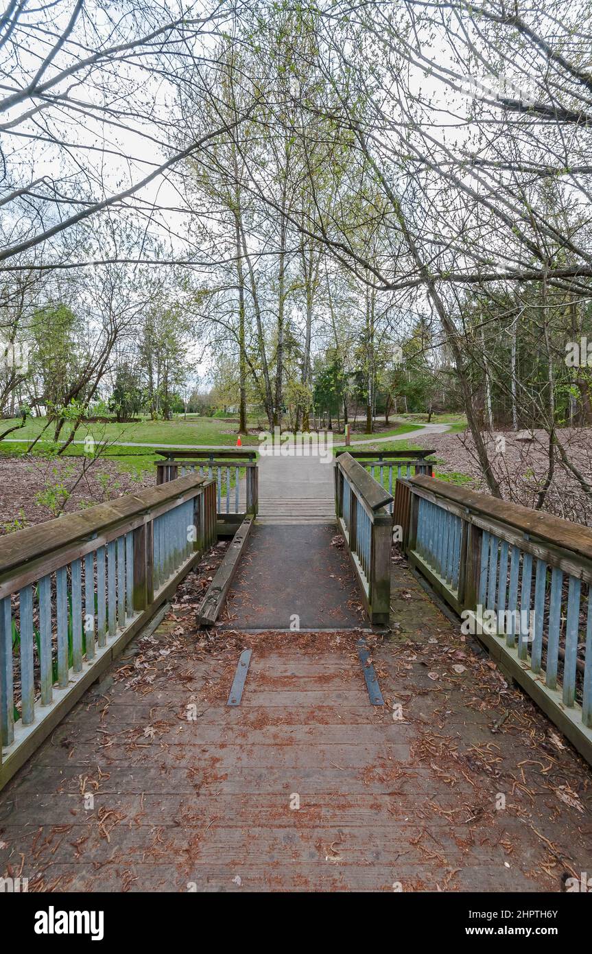 Looking back at the park from the fishing dock at Lake Boren Park ...