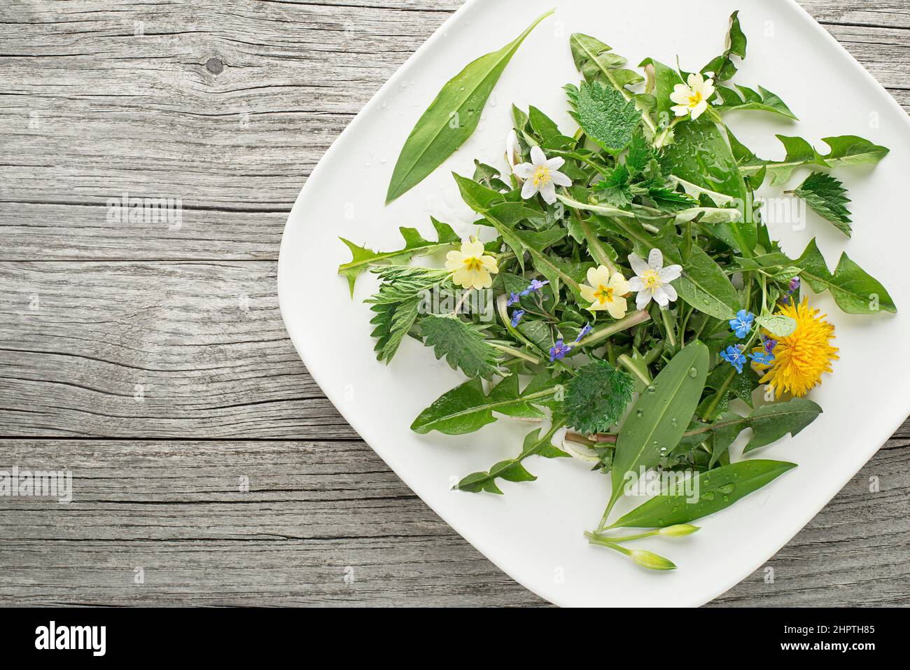 Healthy spring plants for food ingredients. Dandelion, wild garlic ...