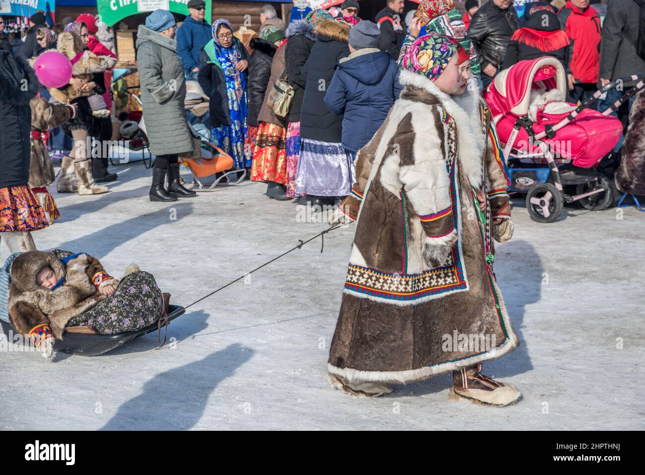 Nenet women pulling a plastic sled with a sleeping kid at the Reindeer ...
