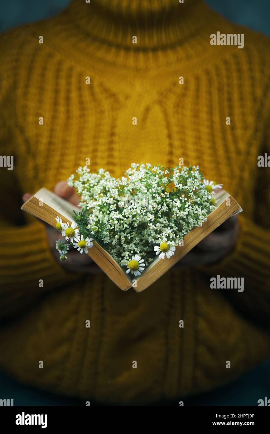 Open book inside nature background hi-res stock photography and images ...