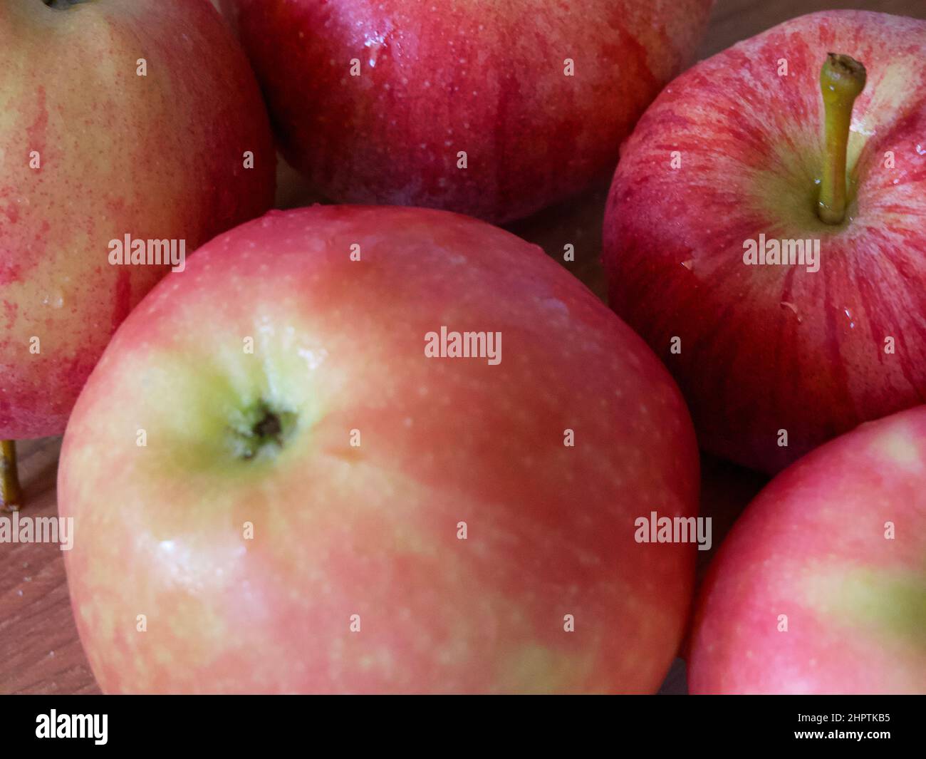 Macro photo of ripe red apples of gala and Ligol varieties. Apple close ...