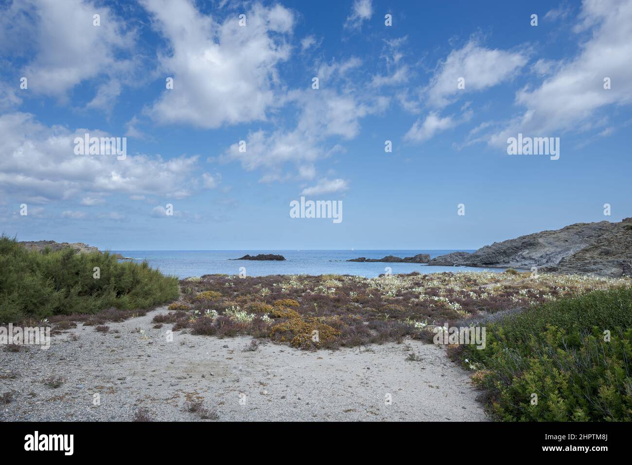 Psammophile hi-res stock photography and images - Alamy