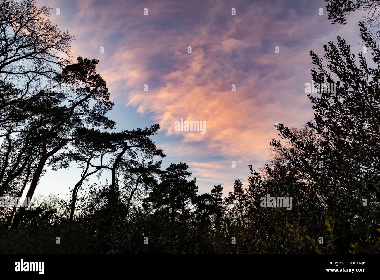 Blue hour clouds hi-res stock photography and images - Alamy