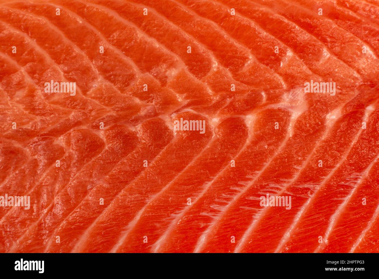 Fish fillet. Red salmon fillet background. Seafood Stock Photo - Alamy