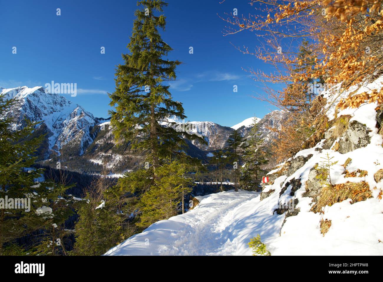 Winter hiking trail through snowy austrian alps on a sunny day with ...
