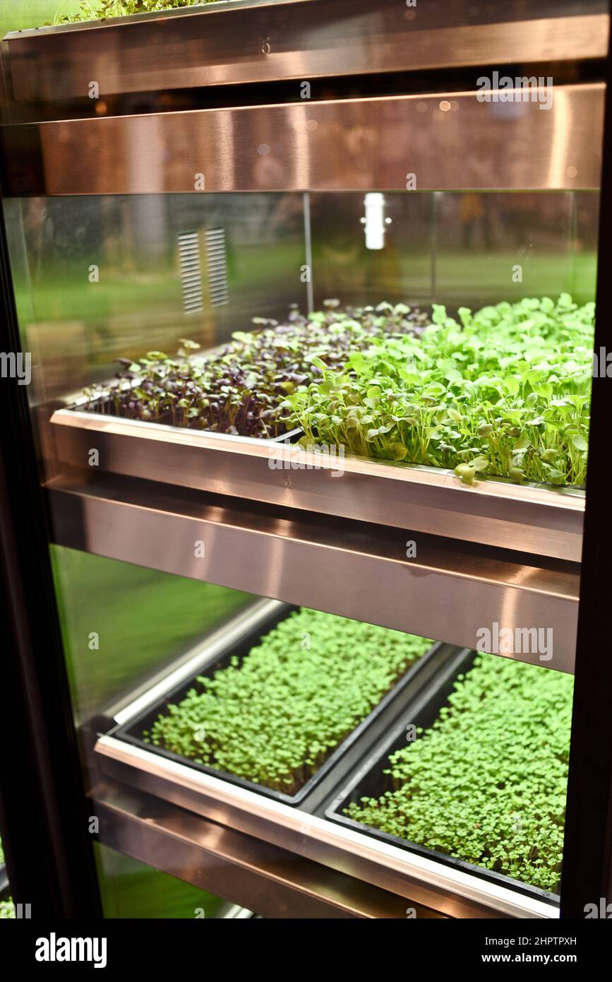 GardenChef Herb and Microgreen Growing Cabinets made by Carter Hoffmann ...