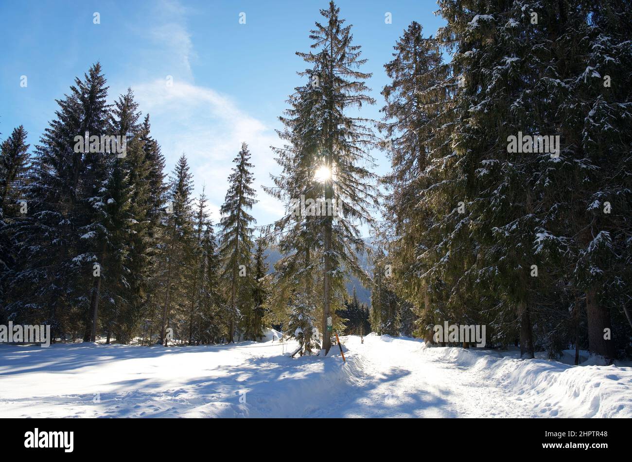 Winter hiking trail through snowy austrian alps on a sunny day with ...