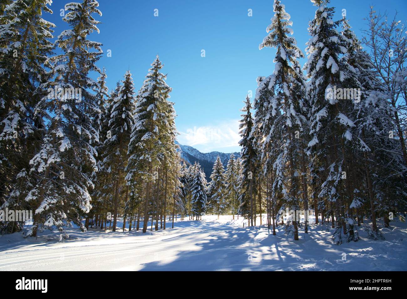 Winter hiking trail through snowy austrian alps on a sunny day with ...