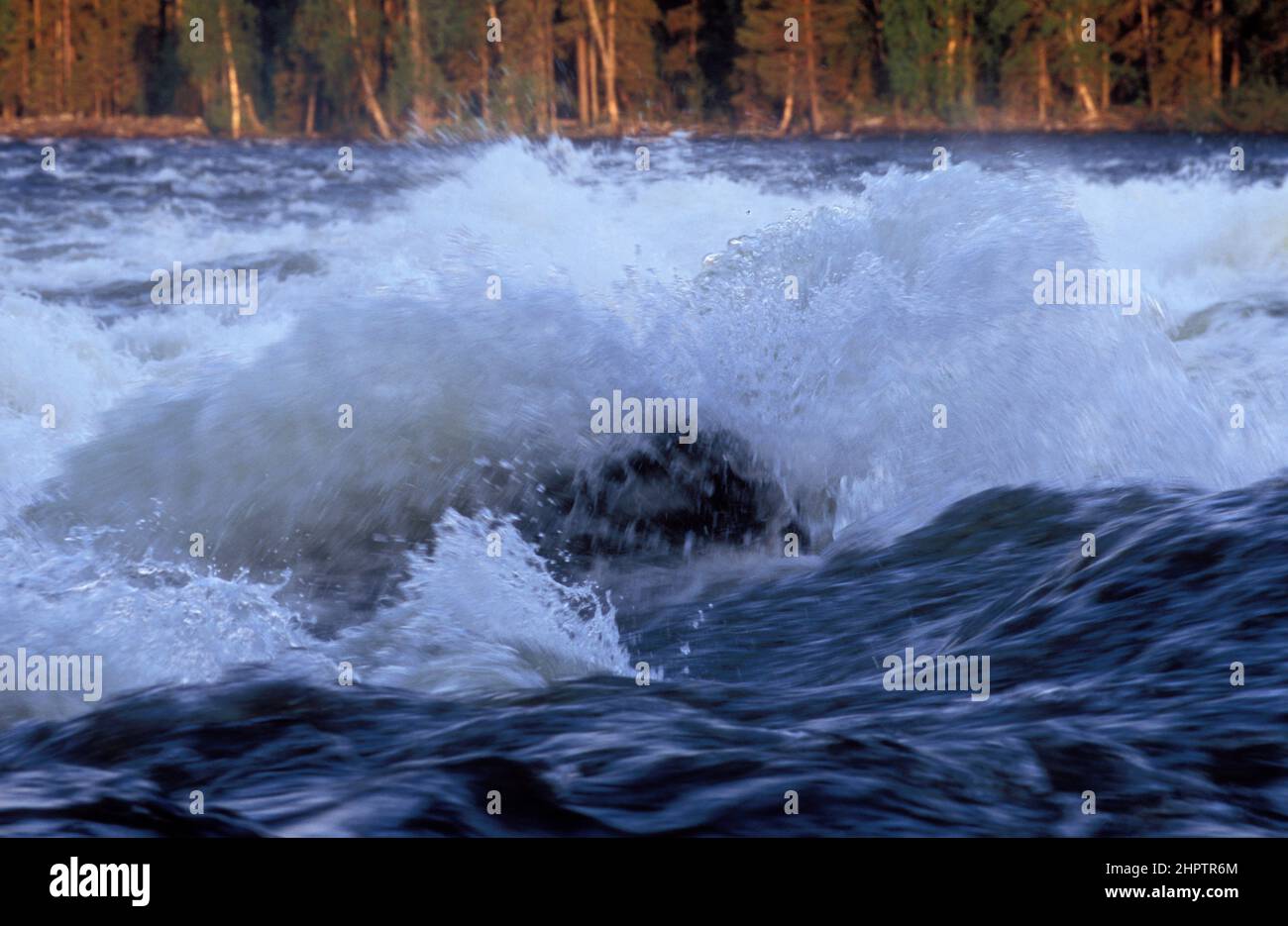 Wild river rapids in the country in 2005, analog. Fast, strong, and ...