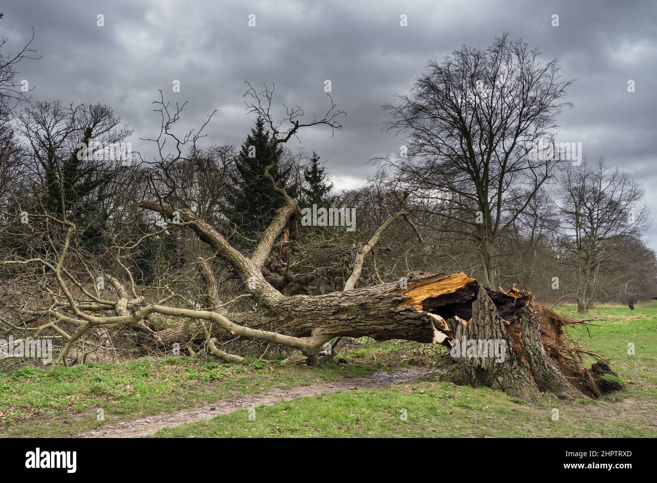 Strong winds countryside uk hi-res stock photography and images - Alamy