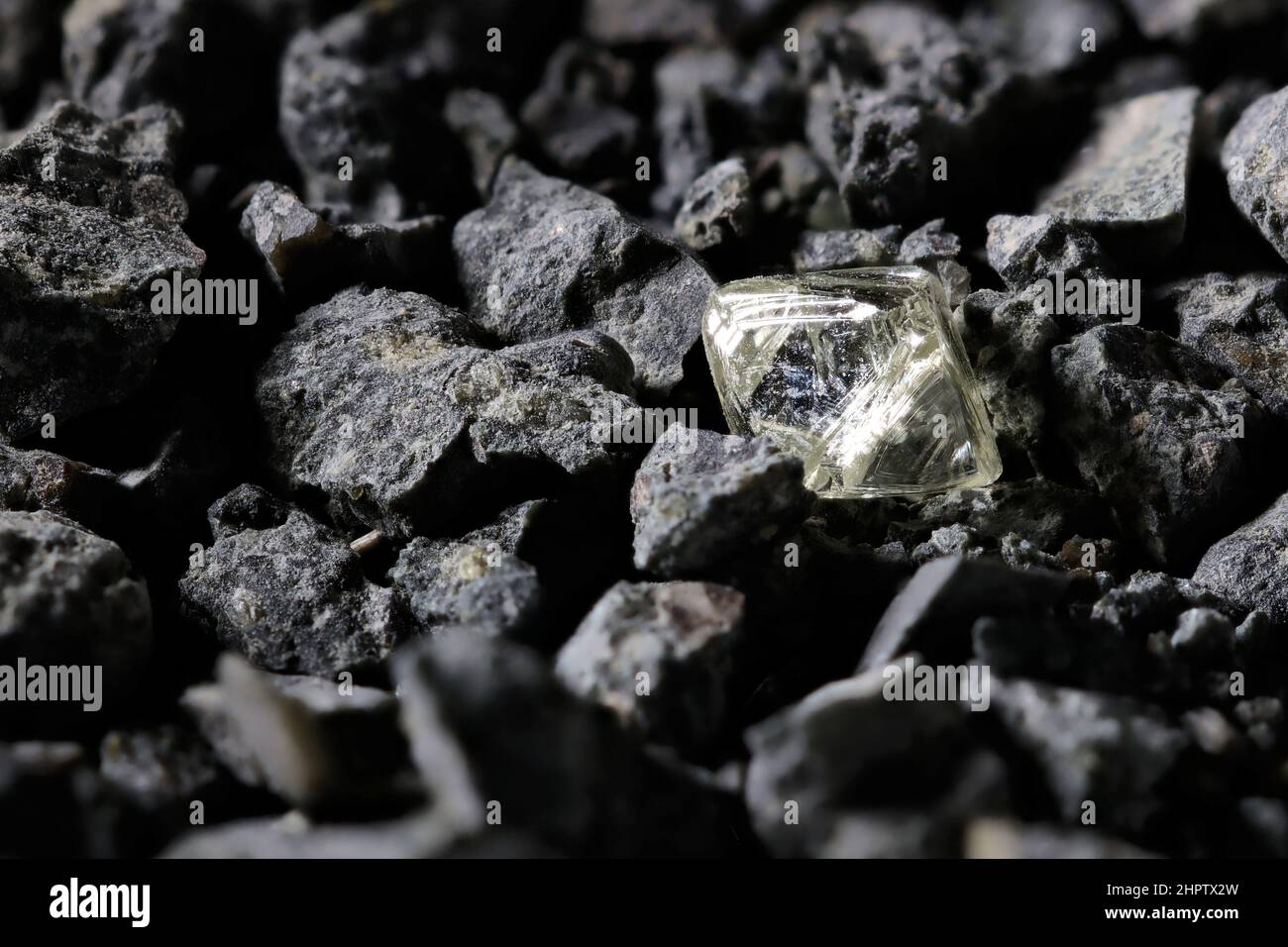 natural 0.55 ct octahedral diamond from South Africa in kimberlite ...