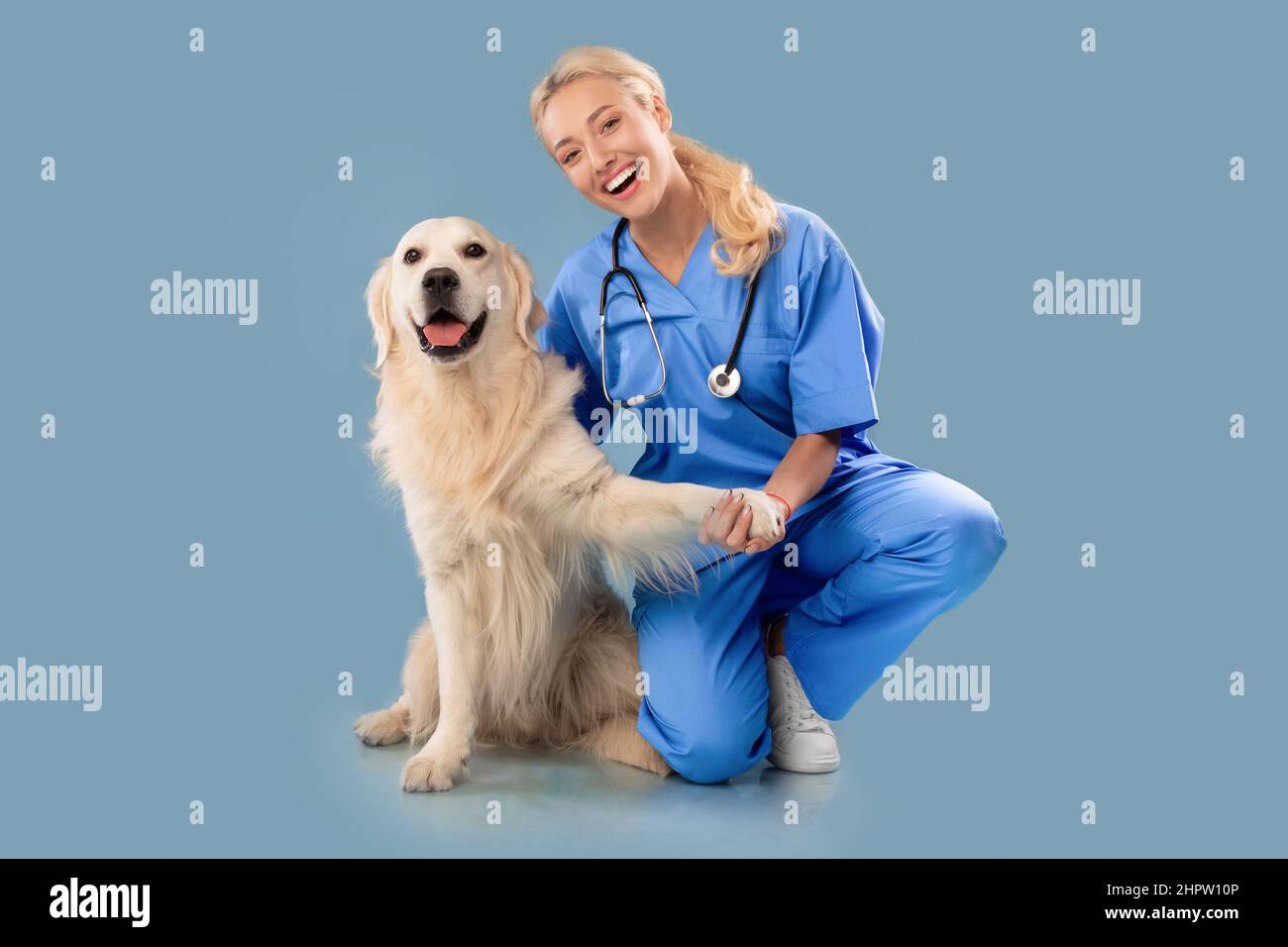 Nurse In Scrubs Uniform And Stethoscope Posing With Dog Stock Photo - Alamy