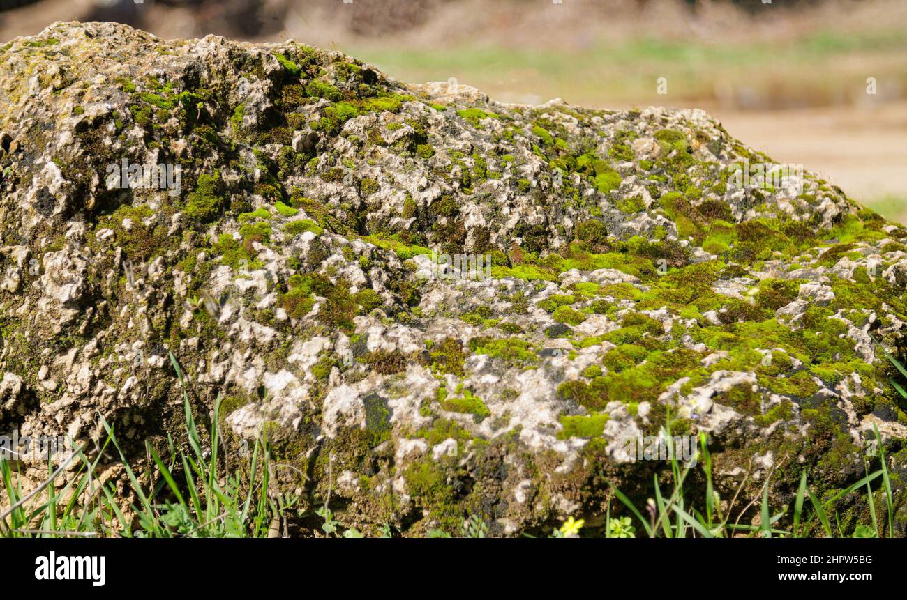 Moss covered stone structure hi-res stock photography and images - Alamy