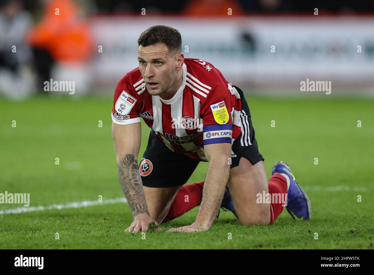 Sheffield, UK. 23rd Feb, 2022. Billy Sharp #10 of Sheffield United ...