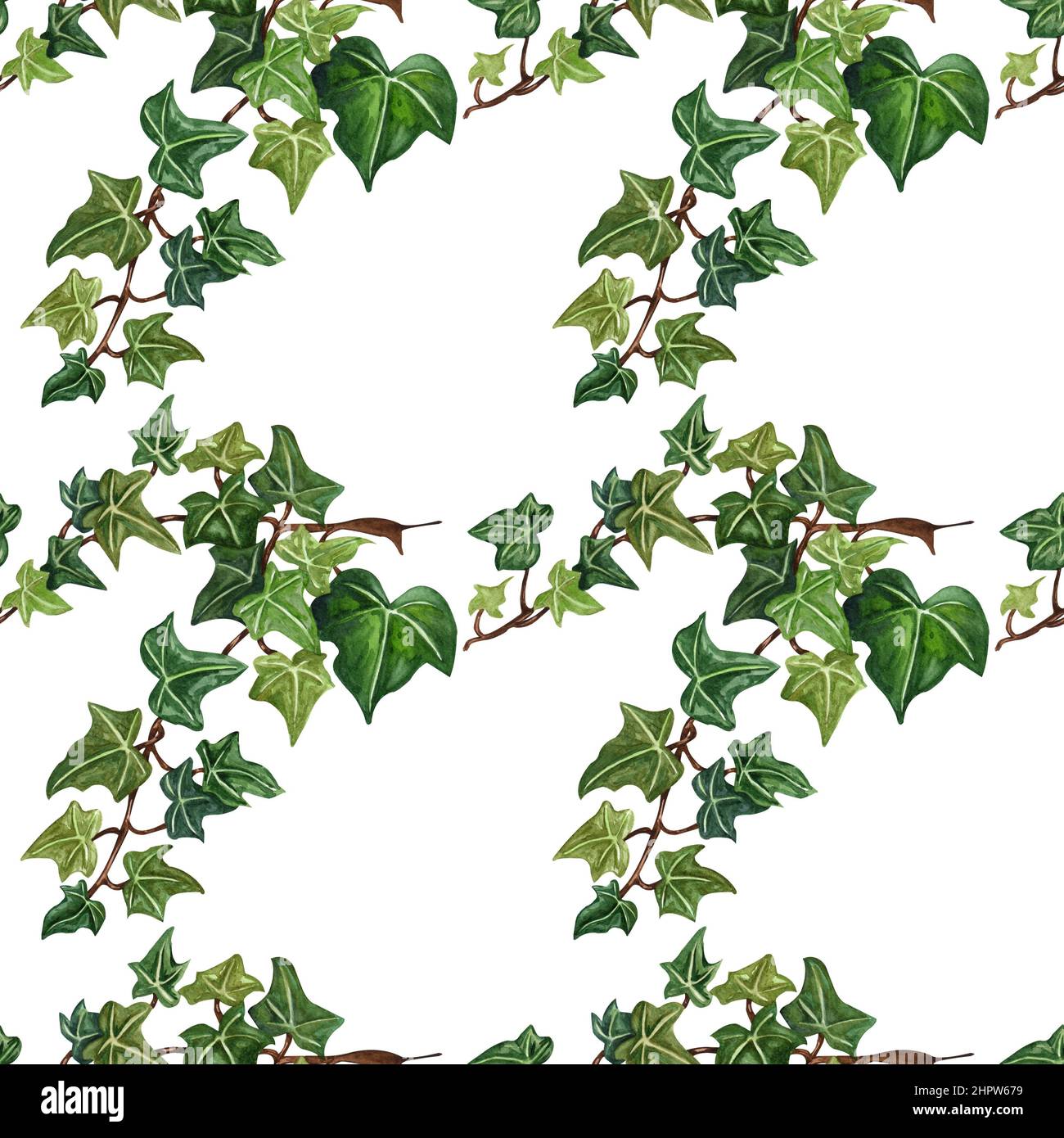 Watercolor seamless botanical ivy illustration. Botanical seamless ...