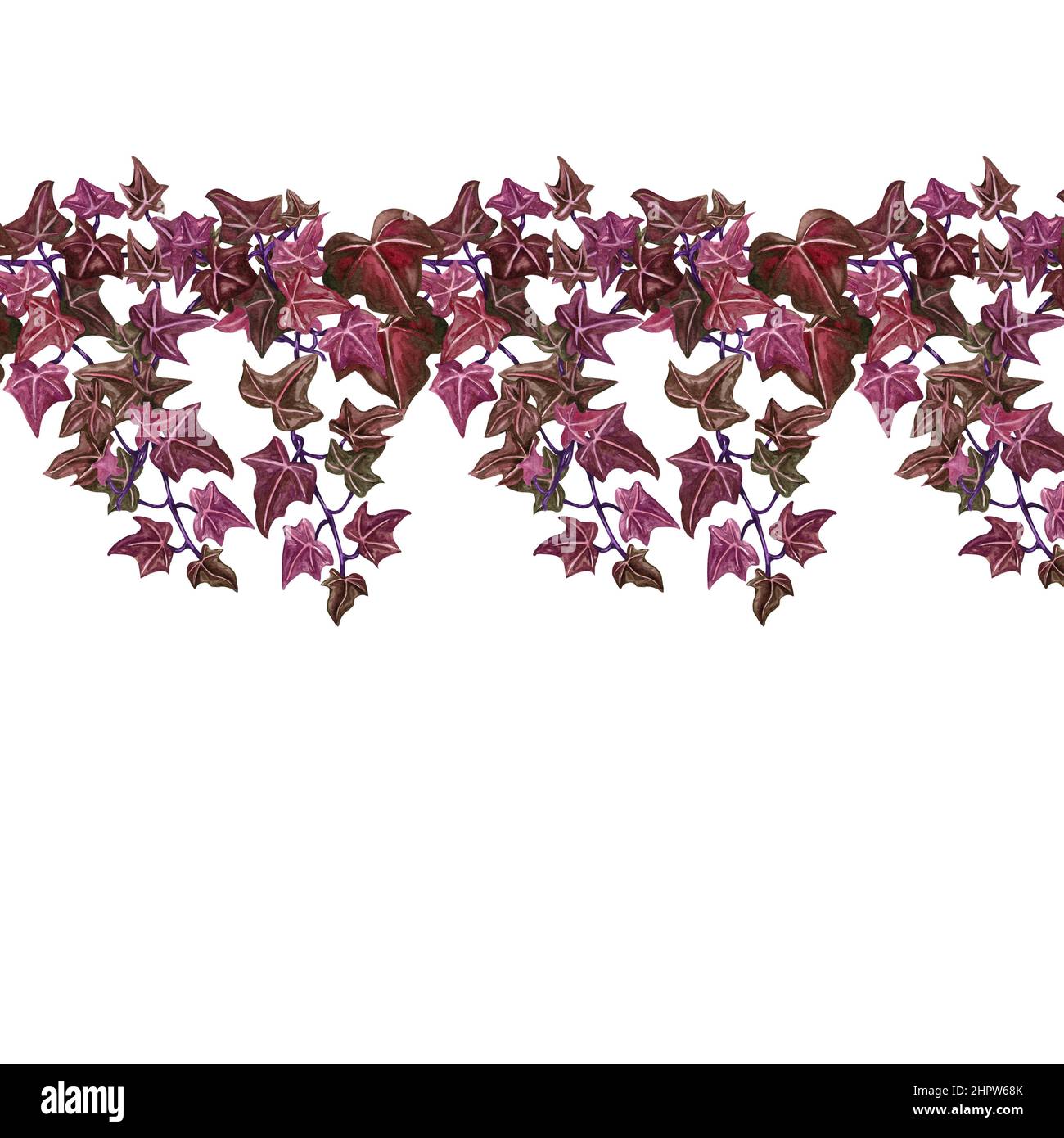 Watercolor seamless botanical ivy illustration. Botanical seamless ...