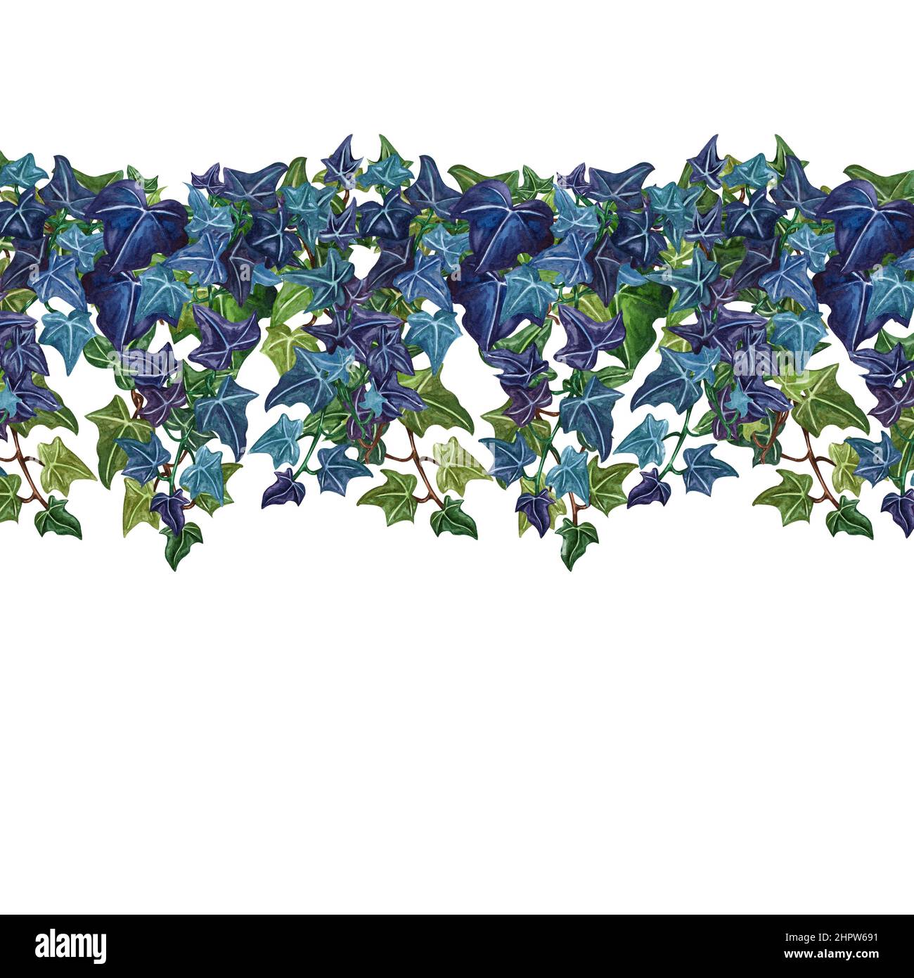 Watercolor seamless botanical ivy illustration. Botanical seamless ...