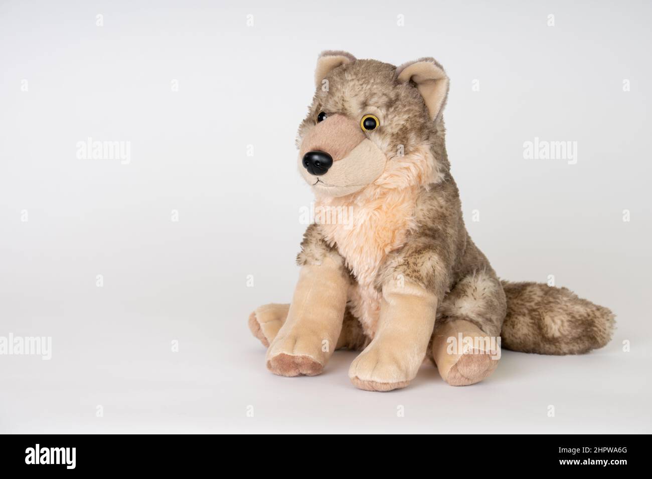 Stuffed animal Grey Wolf on a white seamless background Stock Photo - Alamy