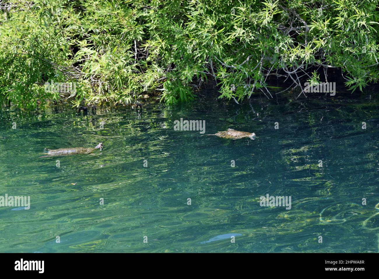 Freshwater lake kournas crete hi-res stock photography and images - Alamy