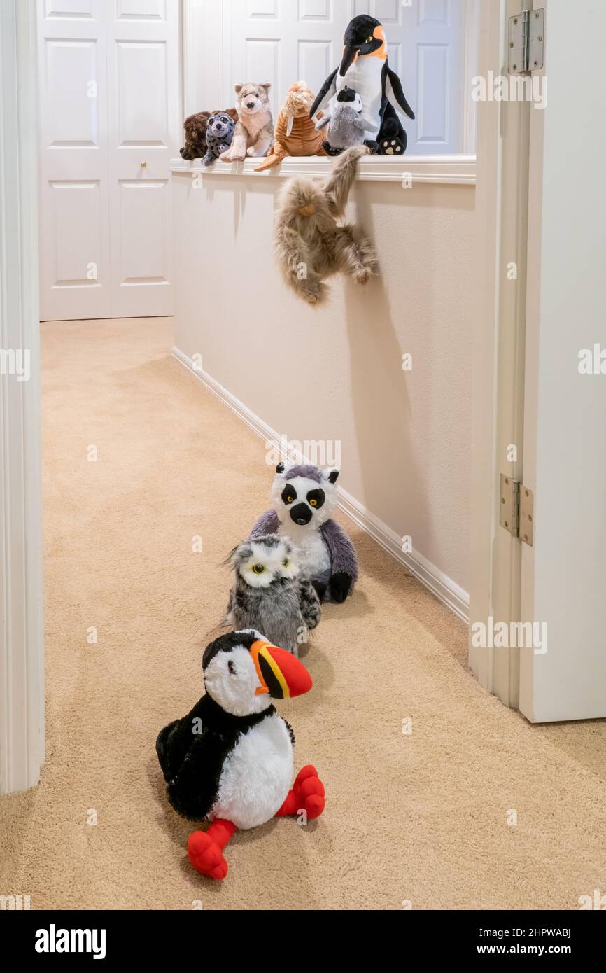Stuffed animals playing follow-the-leader, as they have to now climb or ...