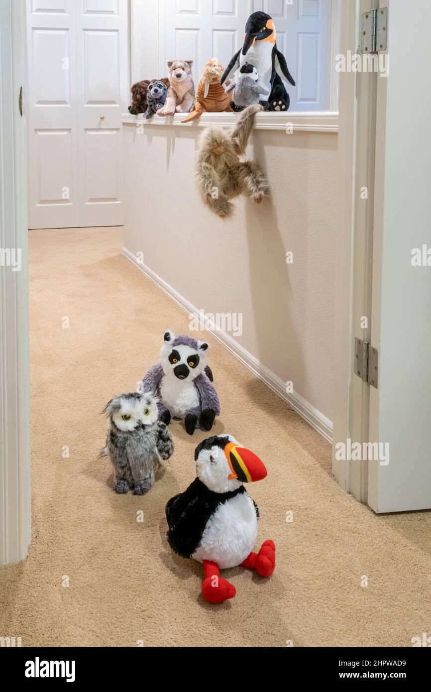 Stuffed animals playing follow-the-leader, as they have to now climb or ...