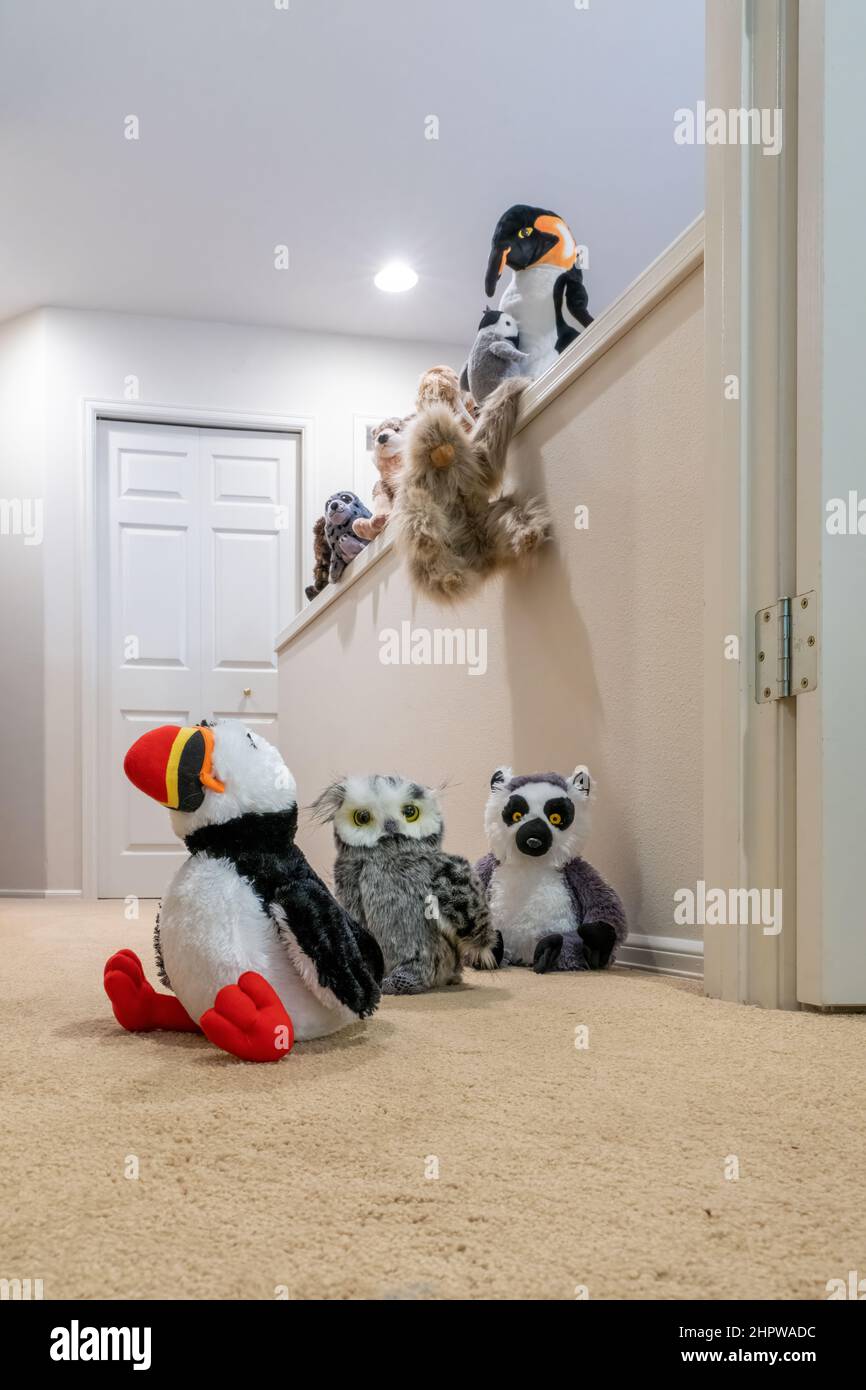 Stuffed animals playing follow-the-leader, as they have to now climb or ...