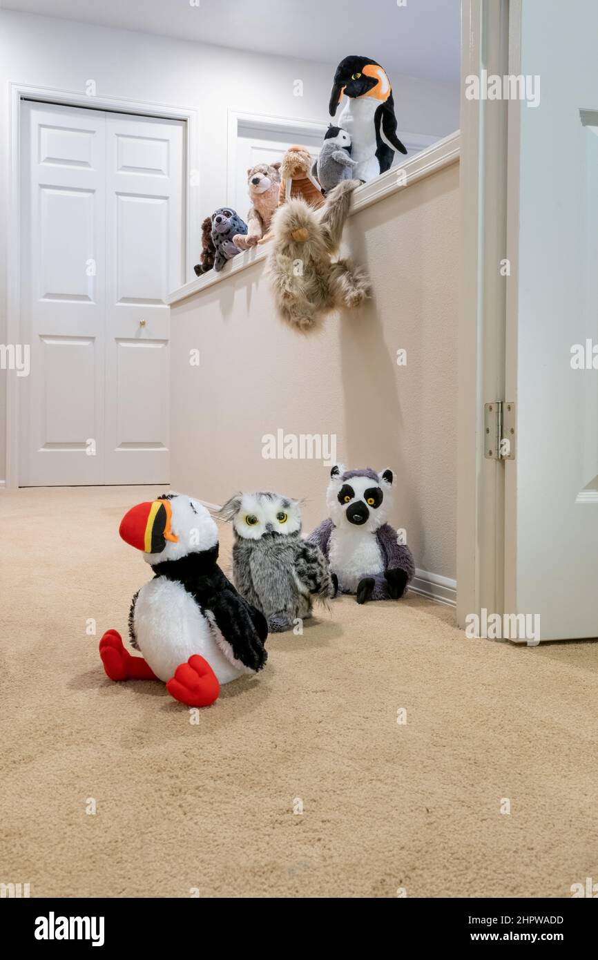 Stuffed animals playing follow-the-leader, as they have to now climb or ...