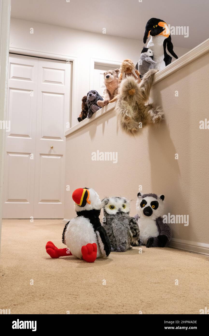 Stuffed animals playing follow-the-leader, as they have to now climb or ...