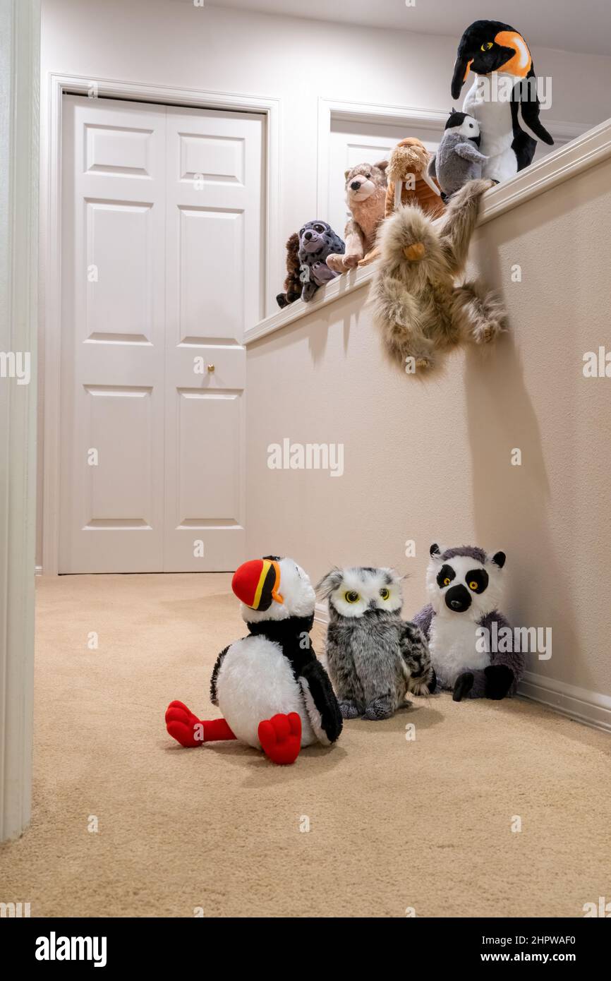 Stuffed animals playing follow-the-leader, as they have to now climb or ...