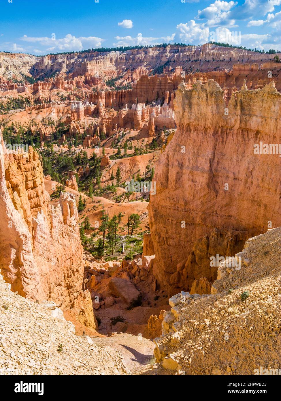 beautiful landscape in Bryce Canyon with magnificent Stone formation ...