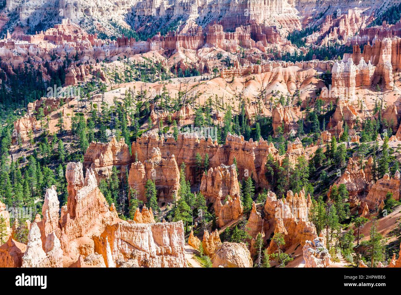 beautiful landscape in Bryce Canyon with magnificent Stone formation ...