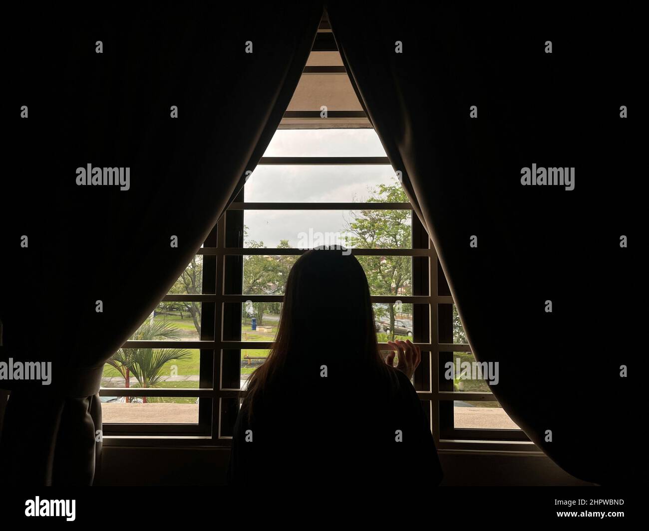 Back view of a female looking out of the window Stock Photo - Alamy