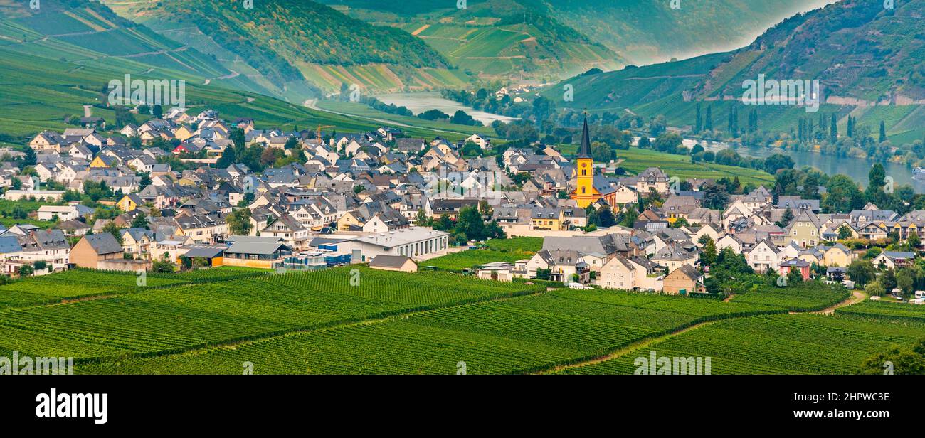 famous Moselle Sinuosity in Trittenheim, germany Stock Photo - Alamy