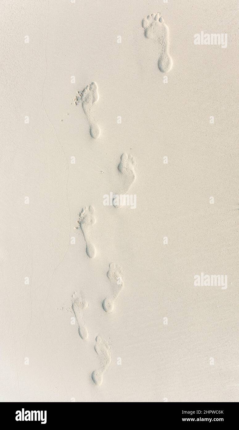 human adult footprint in the fine sand at the beach Stock Photo - Alamy