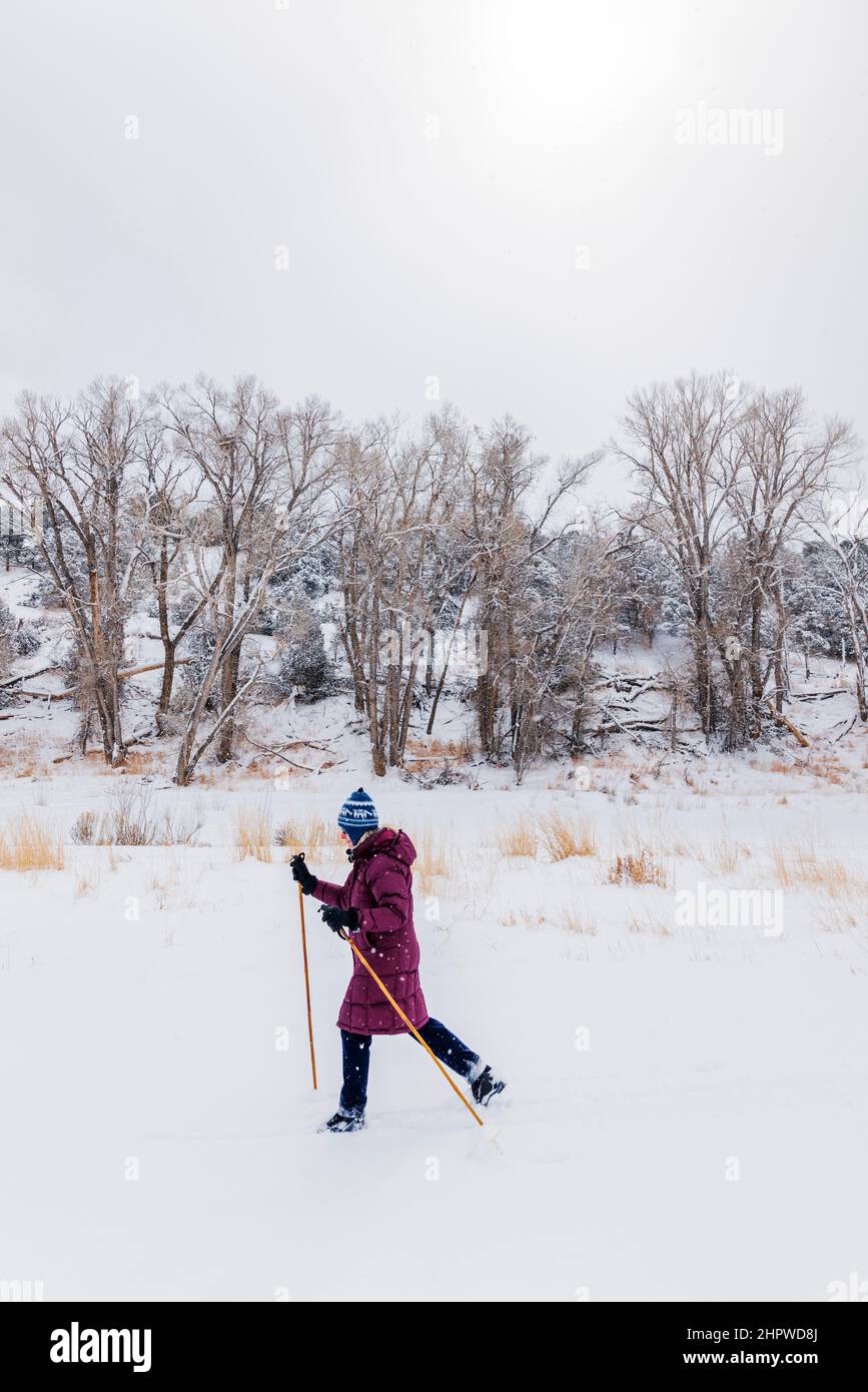 Senior woman cross country skiing in fresh snow storm; Vandaveer Ranch ...