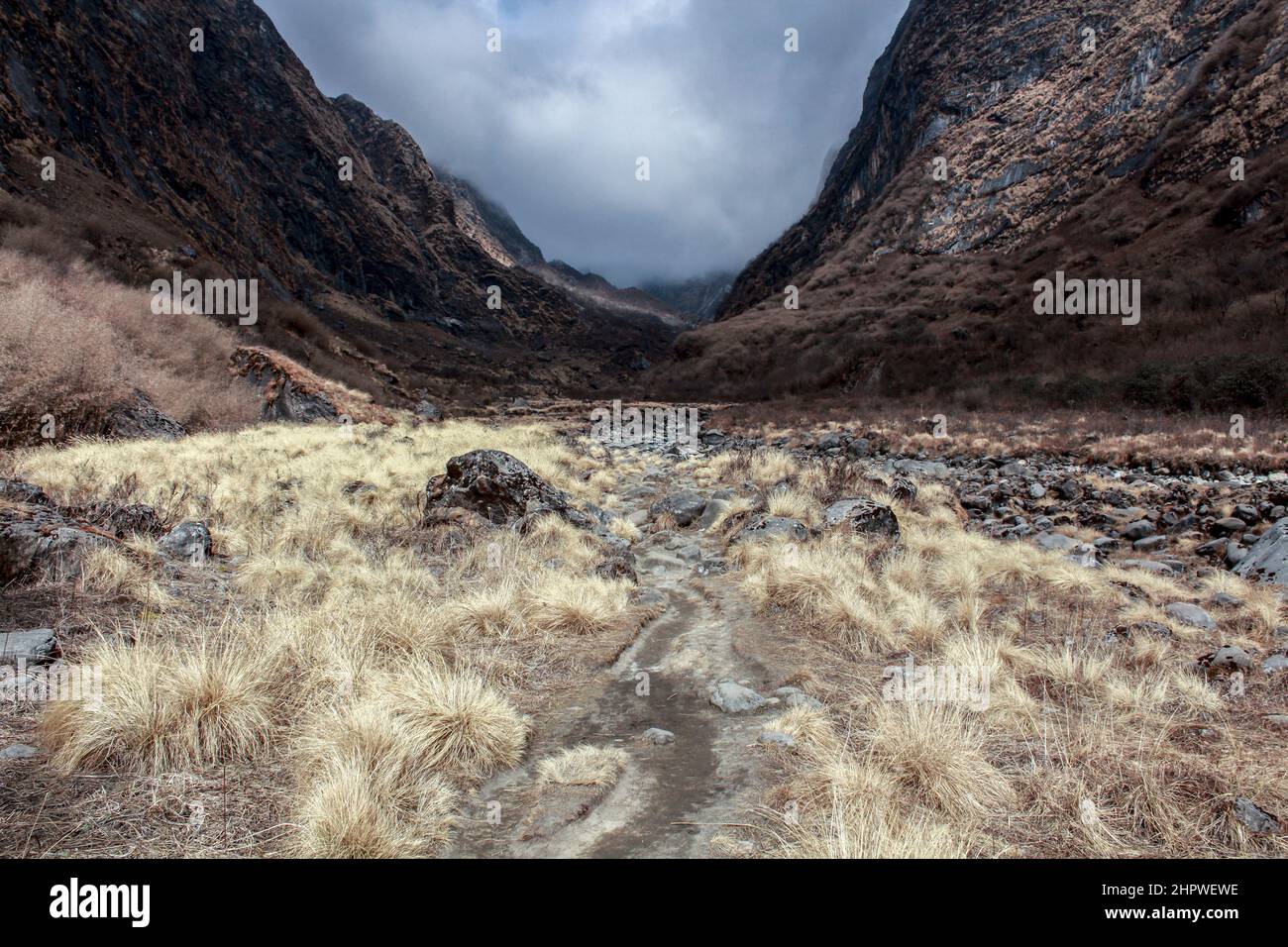 Deurali on the path to Annapurna - Nepal, Himalaya Stock Photo - Alamy