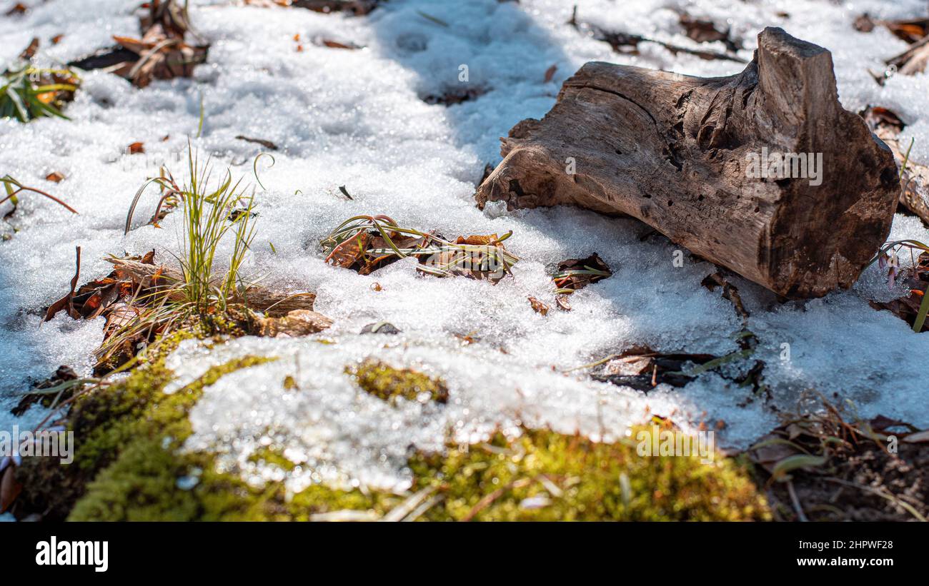 Quality photo for desktop wallpaper hi-res stock photography and images ...