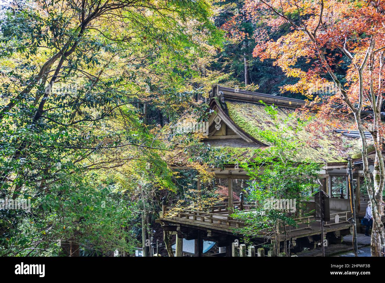 Traditional Japanese temple architecture in a forest with fall colors ...