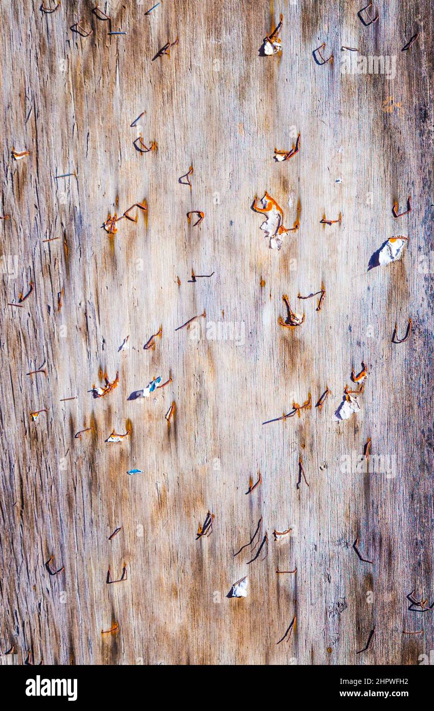 old grungy rotten wooden wall with old pins Stock Photo - Alamy