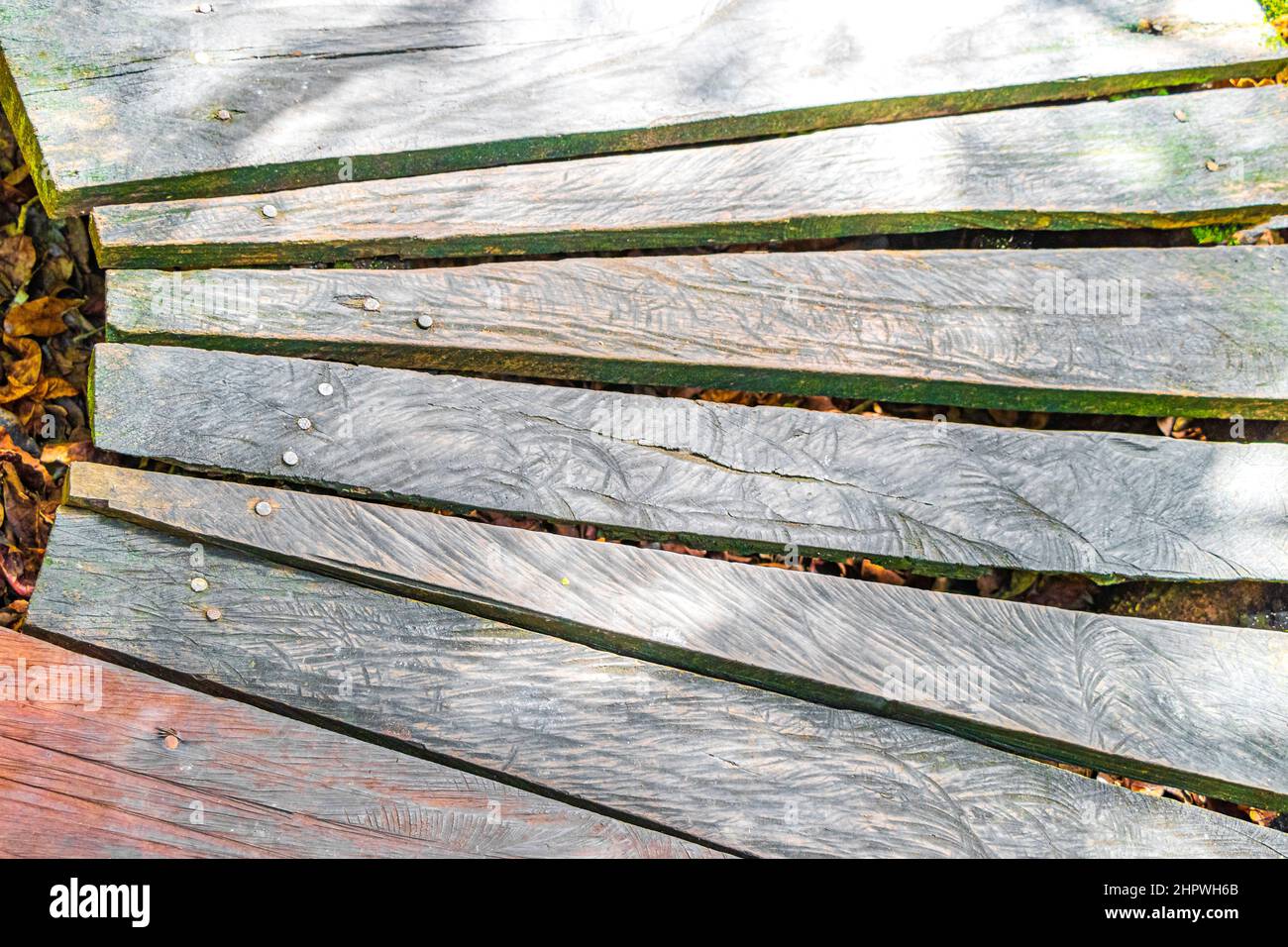 Texture and pattern of wooden walking trails and bridge at the tropical ...