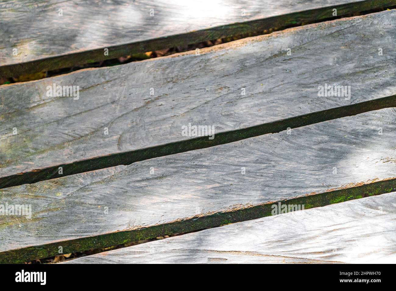 Texture and pattern of wooden walking trails and bridge at the tropical ...
