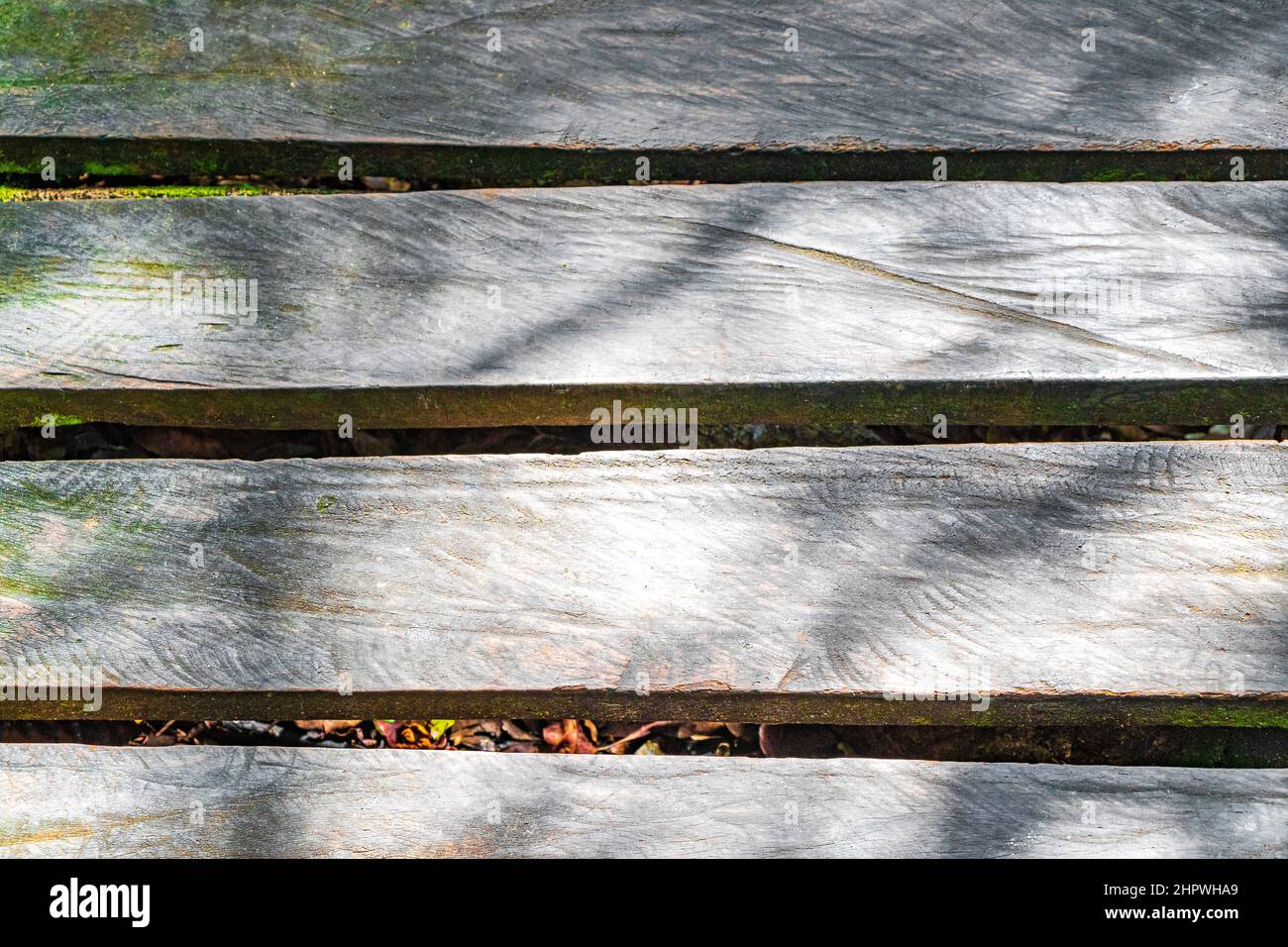 Texture and pattern of wooden walking trails and bridge at the tropical ...