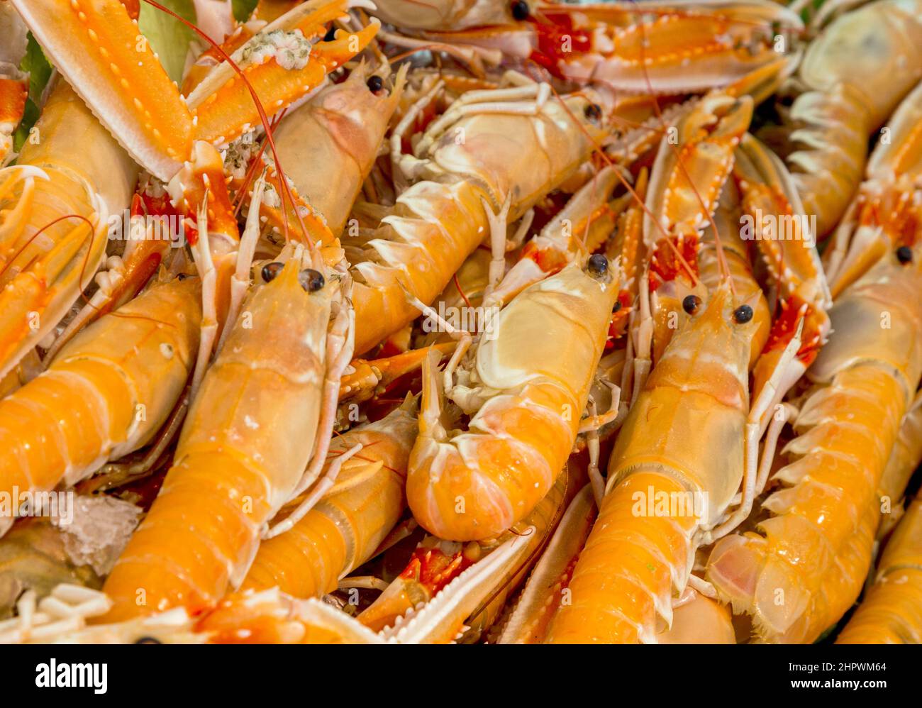 Fresh king prawns at fish market hi-res stock photography and images ...